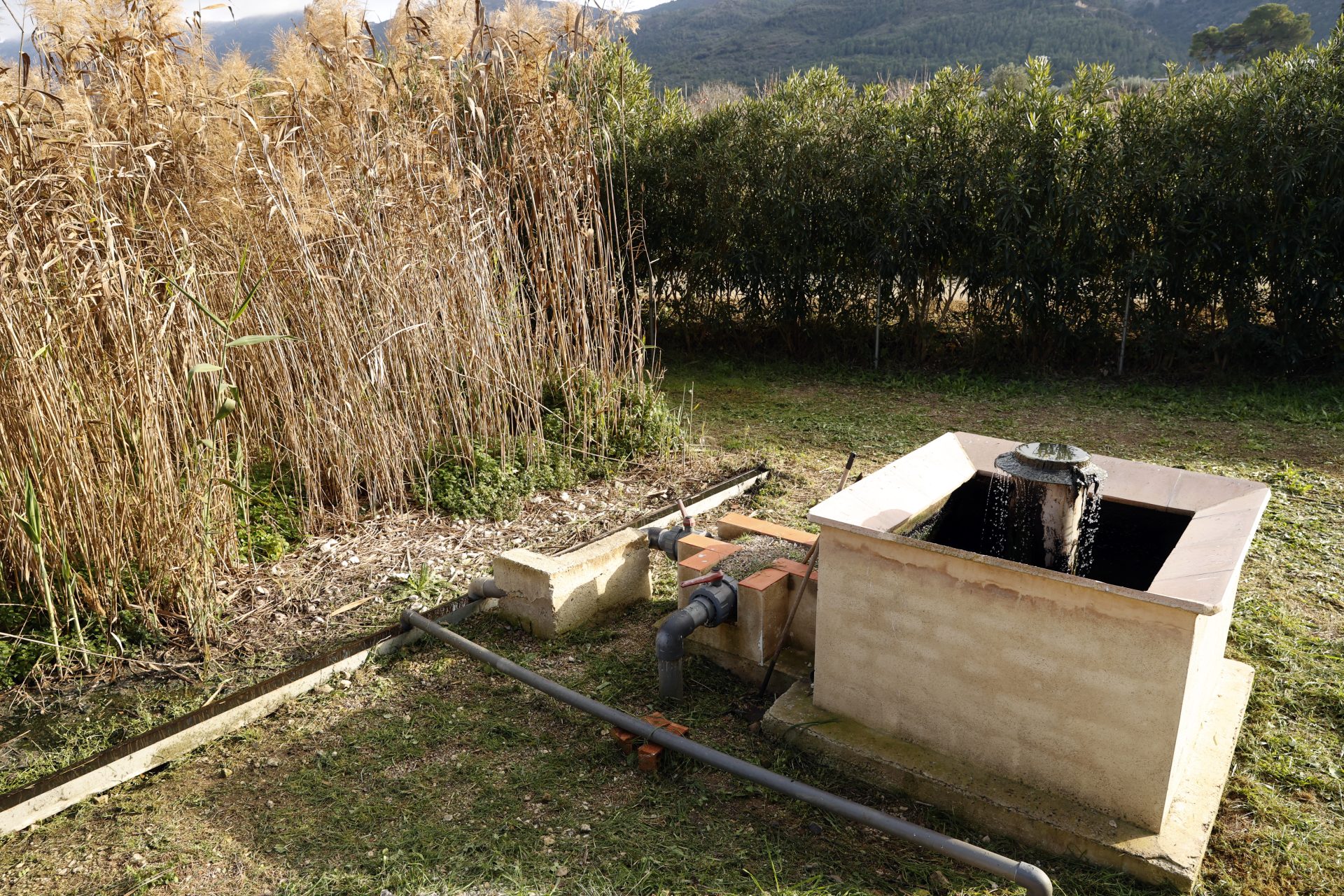 China lidera la inversión mundial en soluciones basadas en la naturaleza para garantizar el agua ...