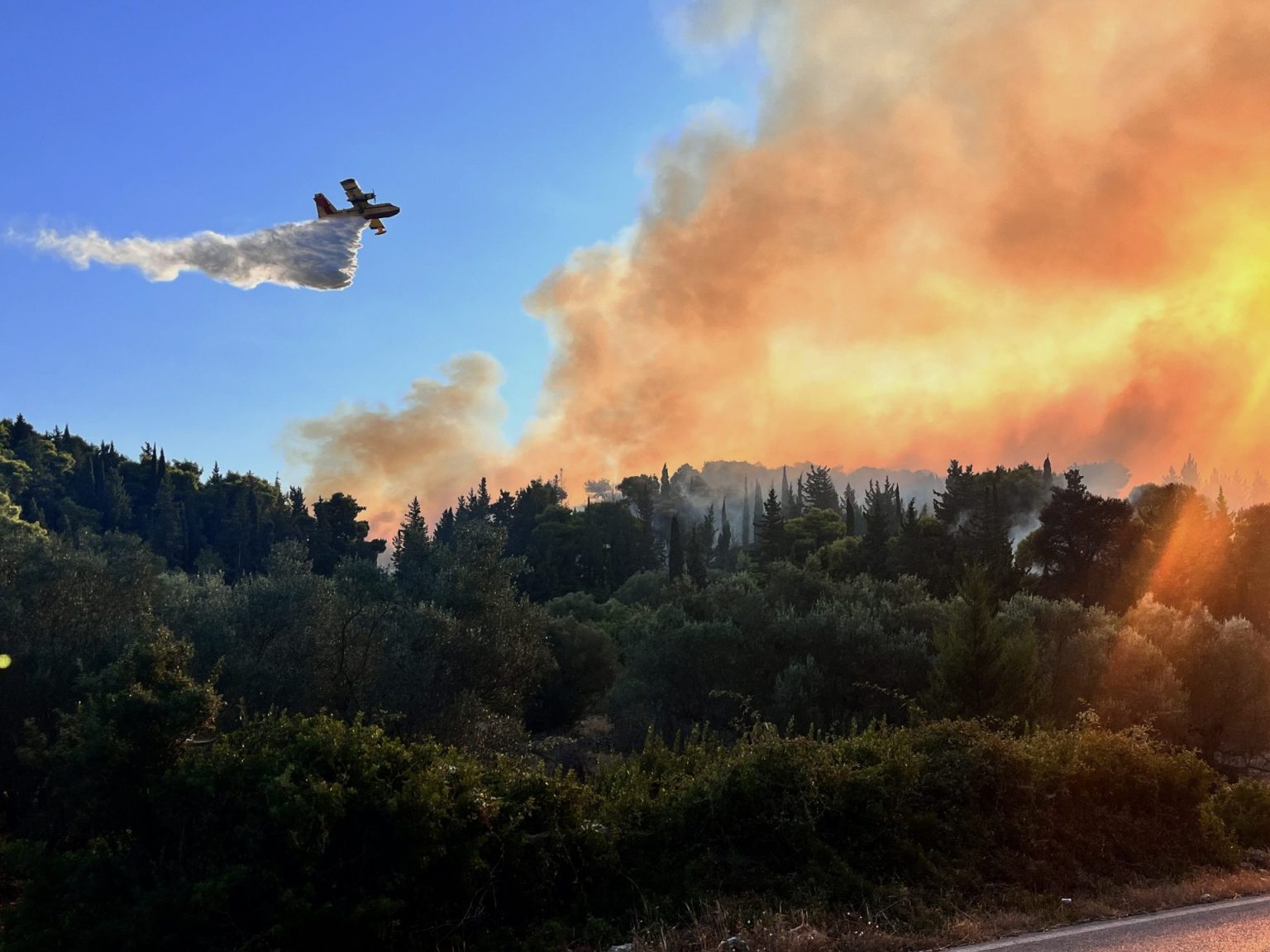 Una ola de calor azota a Europa y potencia fuertes incendios en gran ...