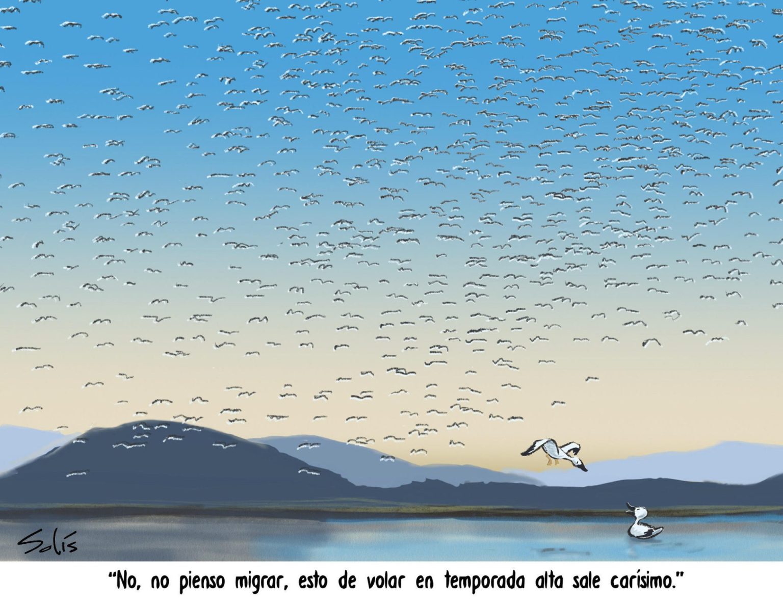 Volar en temporada alta sale carísimo (aves migratorias). Por Víctor Solís (@Visoor) - EFEverde
