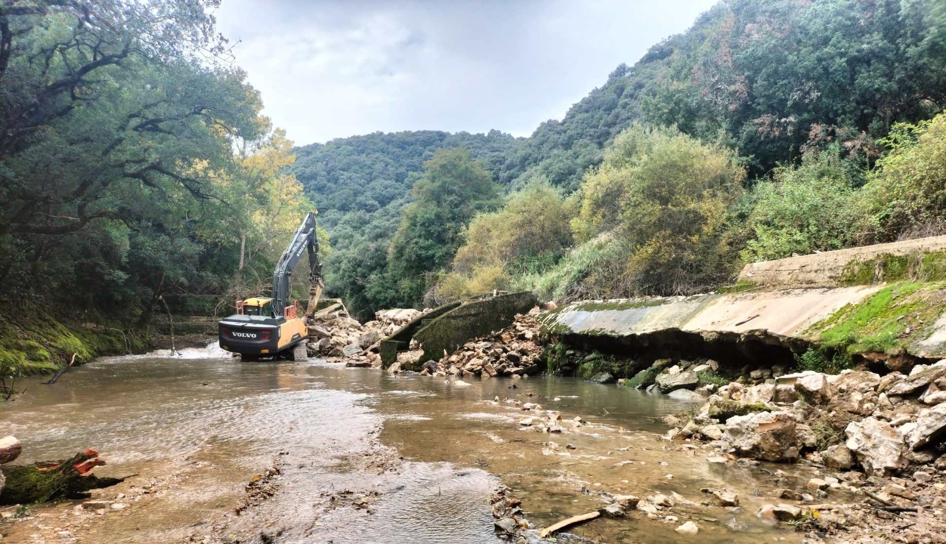 Open Rivers: eliminar barreras fluviales no es un capricho, es una ...